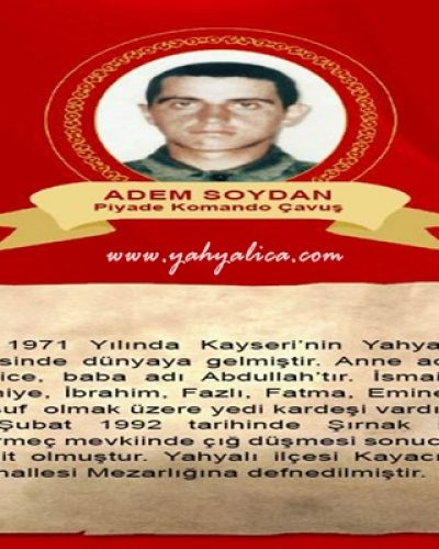 Yahyalı'ya dair ne varsa..